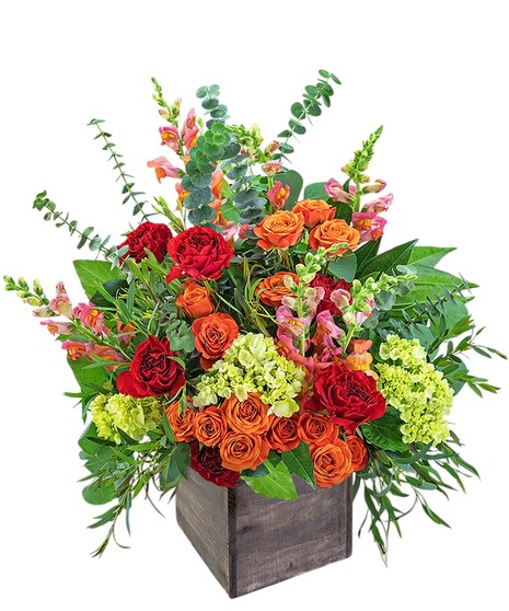 Flower Delivery Lima Ohio